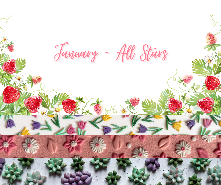 January Theme: All Stars – Emily C Designs